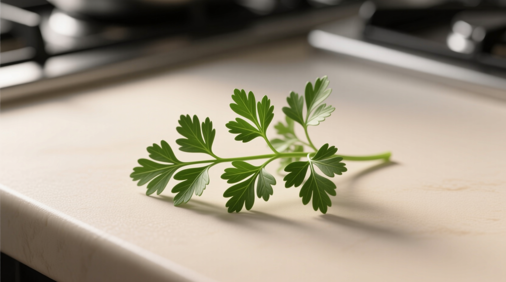 Parsley Substitutes: Why You're Overcomplicating It