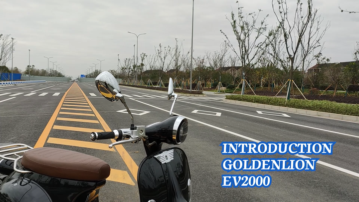 High Speed 85 km/h Classical Style Electric Scooter with Front and Rear ...