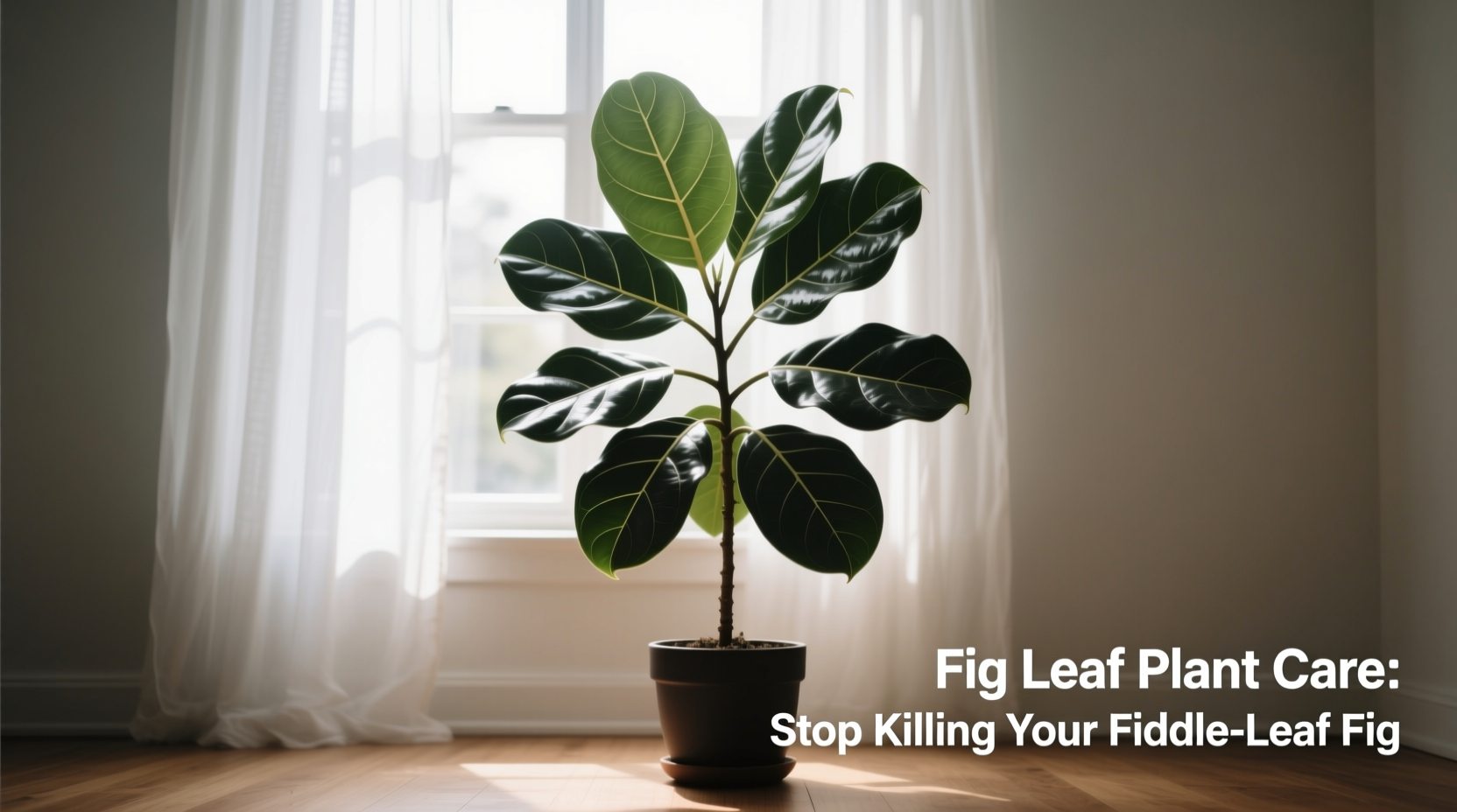 Fig Leaf Plant Care: Stop Killing Your Fiddle-Leaf Fig