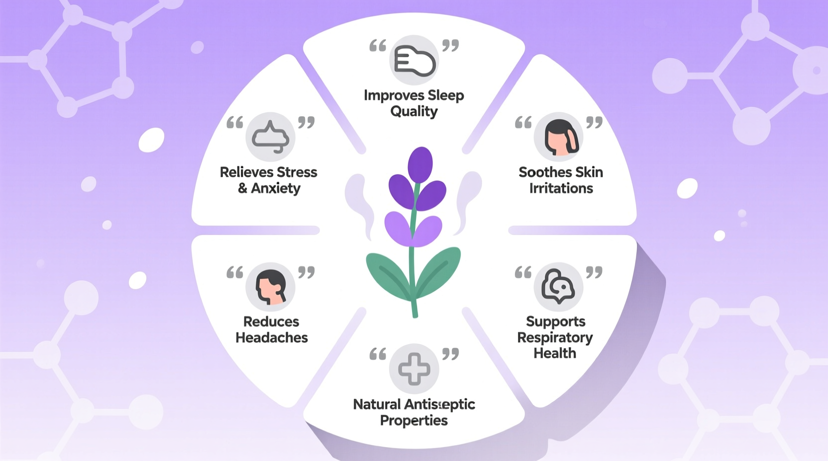 What Is Lavender Oil Used For? Key Benefits & Uses