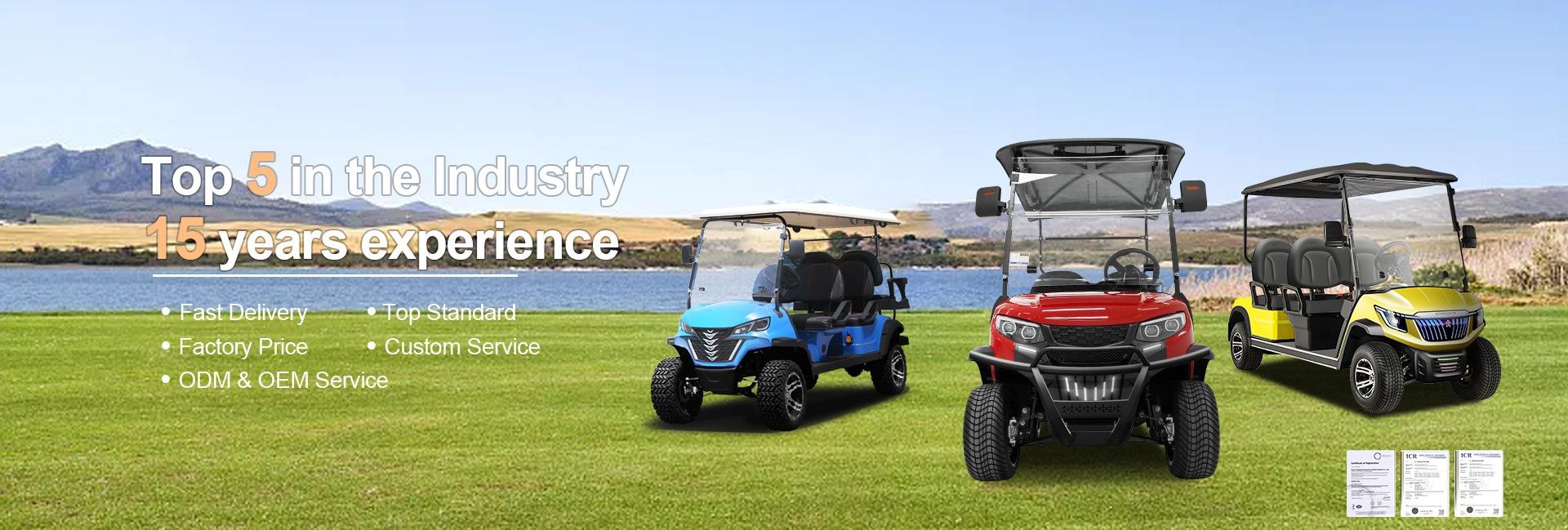Shanghai Dachi Auto Power Co., Ltd. - Golf Cart/Low-Speed Electric Car ...