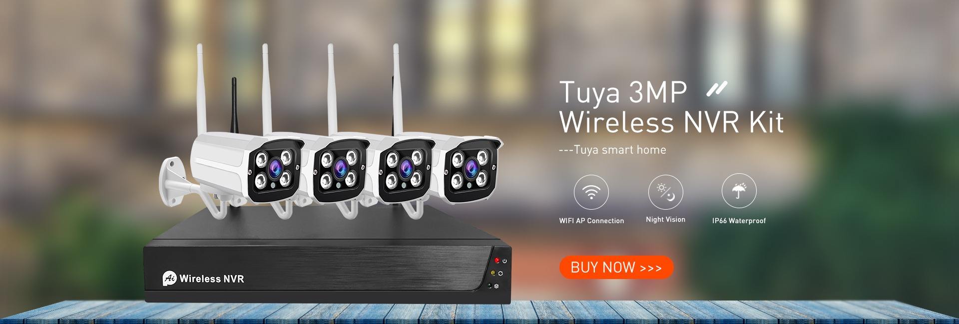 Shenzhen Topper Vision Ltd. - Network Camera, CCTV Camera