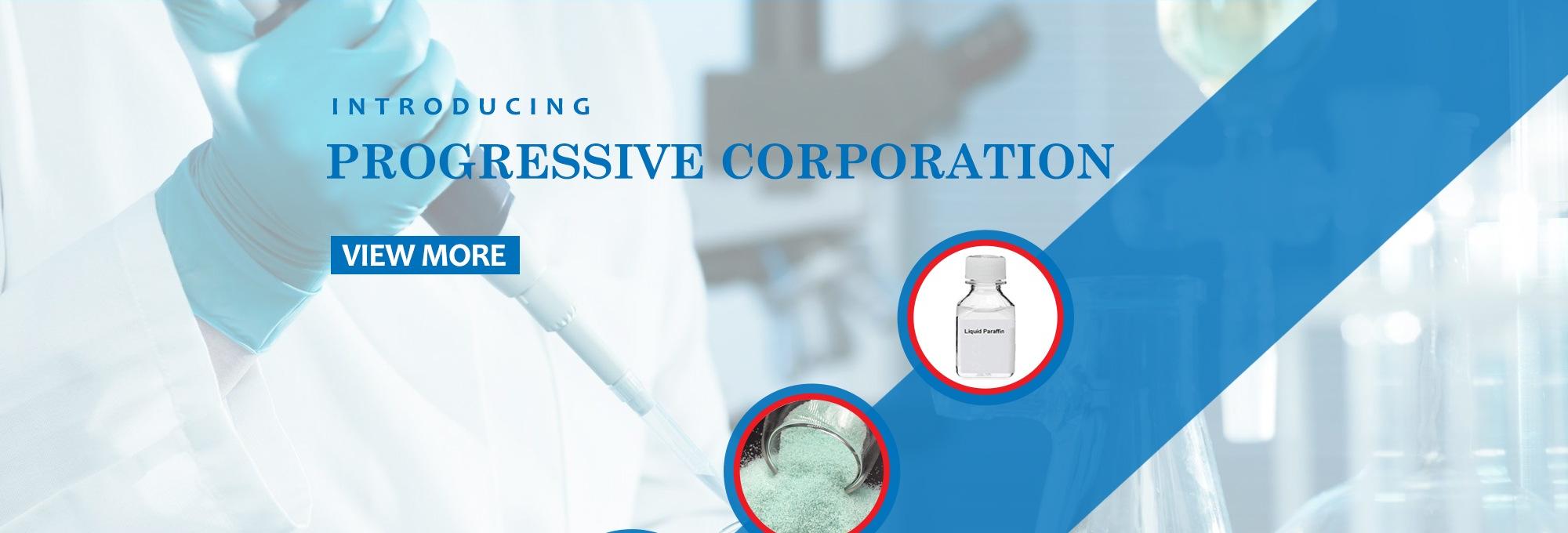 Company Overview - PROGRESSIVE CORPORATION