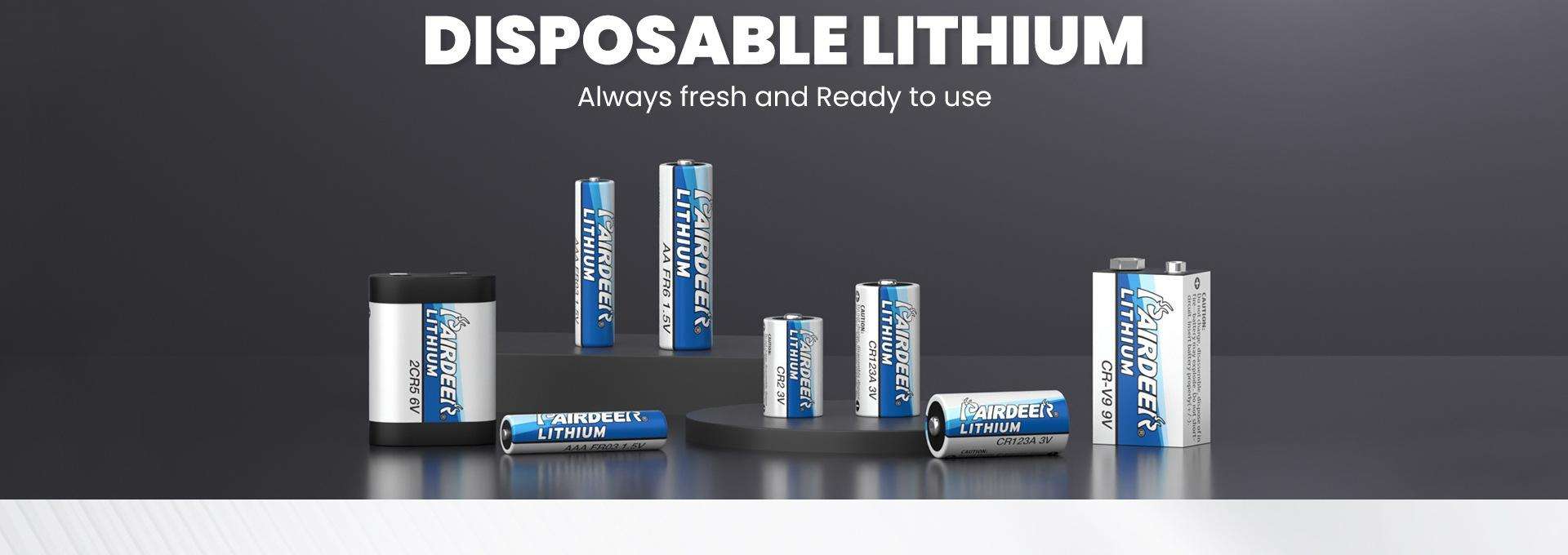 Company Overview - Zhongyin (Ningbo) Battery Co., Ltd.