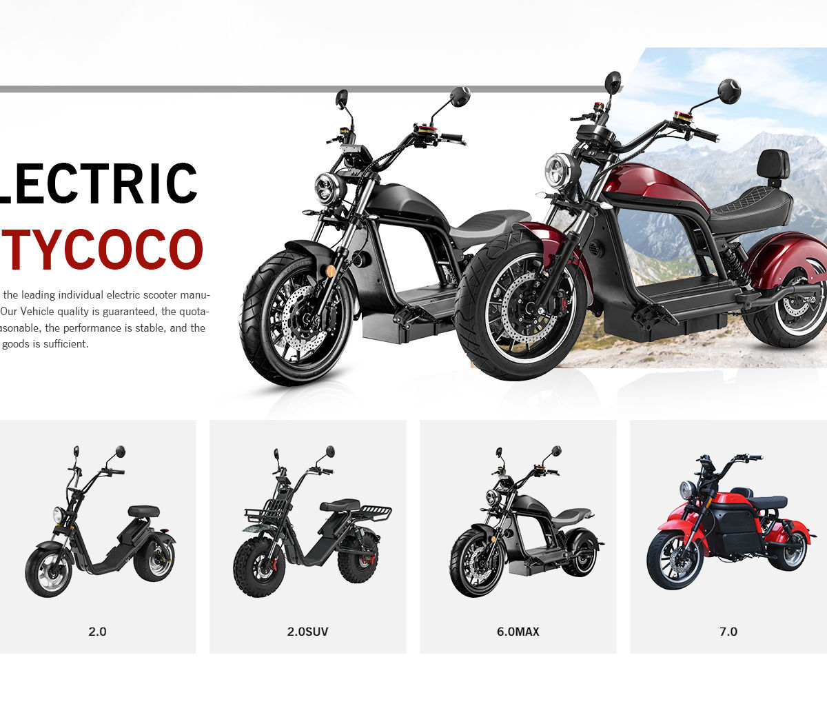 Company Overview - Zhejiang Luqi Intelligent Technology Co., Ltd.