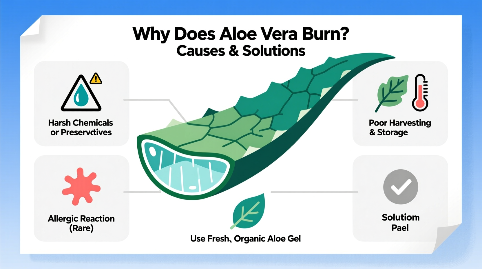 Why Does Aloe Vera Burn? Causes & Solutions