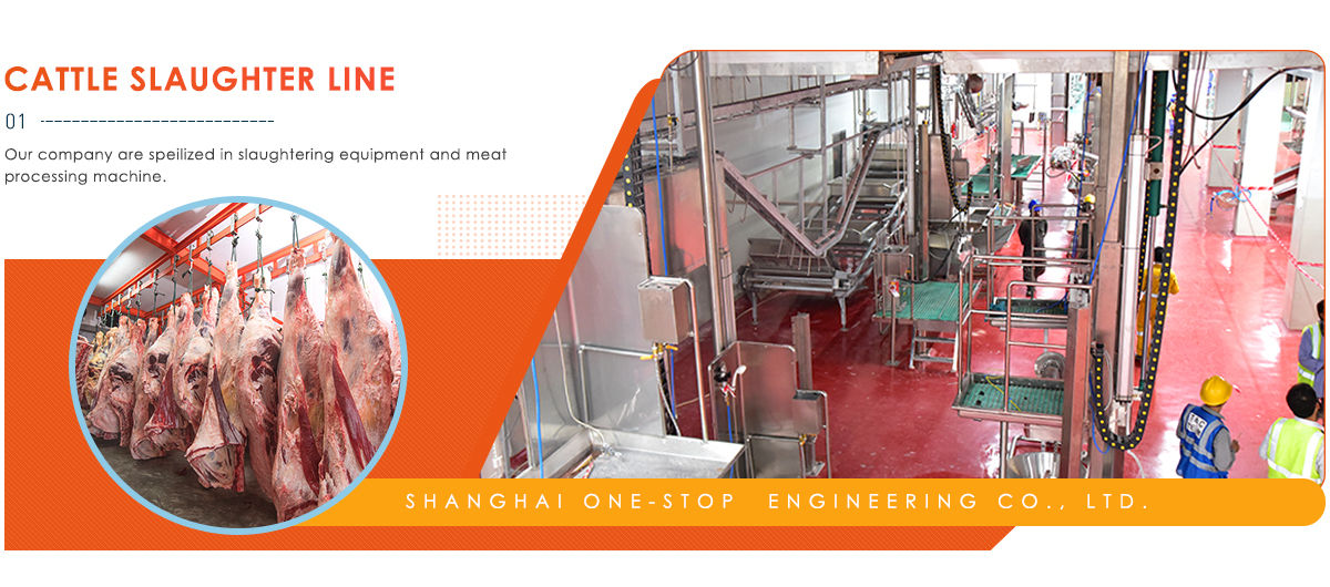 Company Overview - Shanghai One-Stop Engineering Co., Ltd.