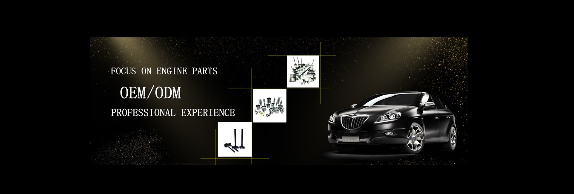 Shijiazhuang Paiwo Auto Parts Co., Ltd. - engine valve, valve guide