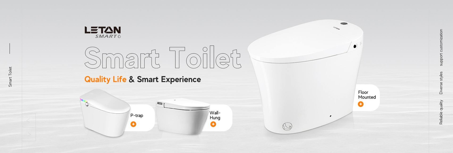 Company Overview - Sichuan Honghua Leton Smart Technology Co., Ltd.