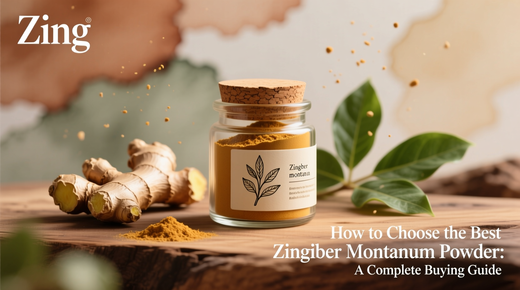 How to Choose the Best Zingiber Montanum Powder: A Complete Buying Guide