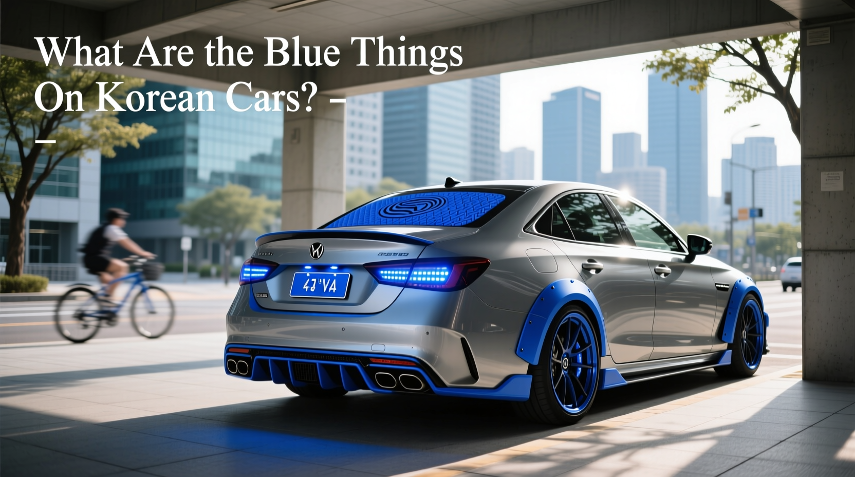 How to Choose Korean Car Accessories, What Are the Blue Things on ...