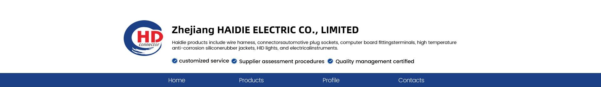 Company Overview - Zhejiang HAIDIE ELECTRIC CO., LIMITED