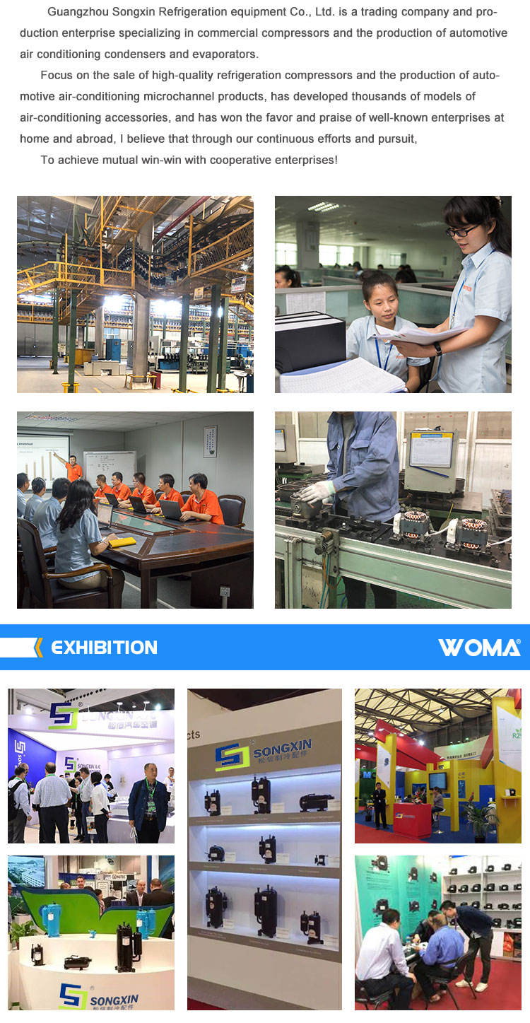 Zanussi Zel GVT40AD 115V/60Hz R134a Refrigerator Compressor Small Light ...