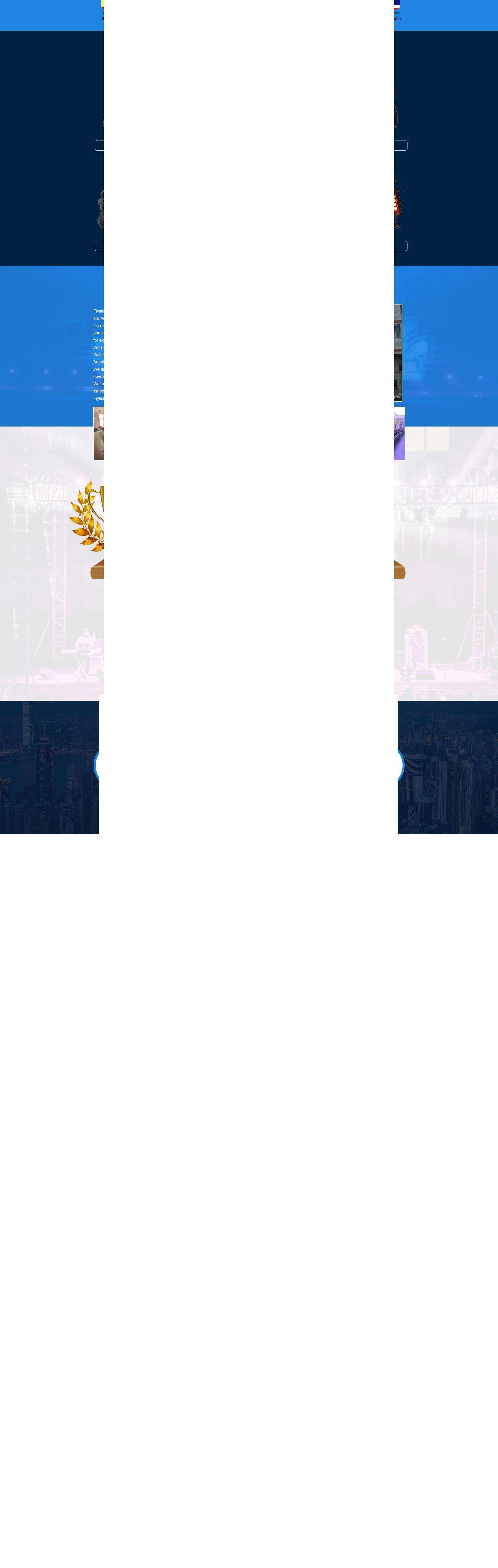 Company Overview - Guangzhou Flystar Lighting Co., Limited