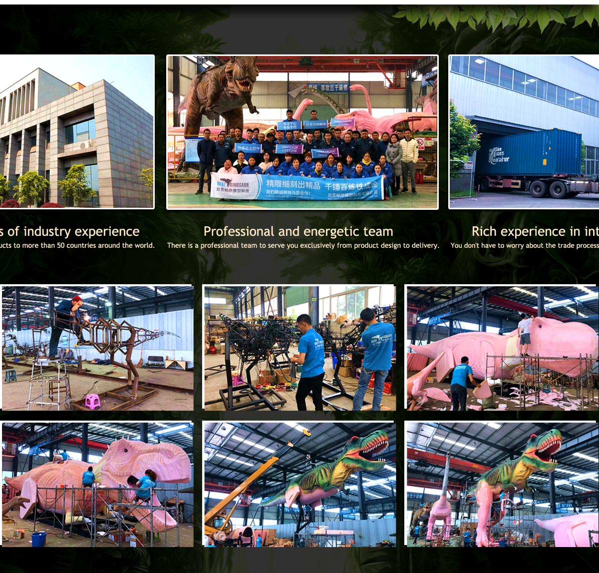 Company Overview - Zigong Real Dinosaur Science And Technology Co., Ltd.