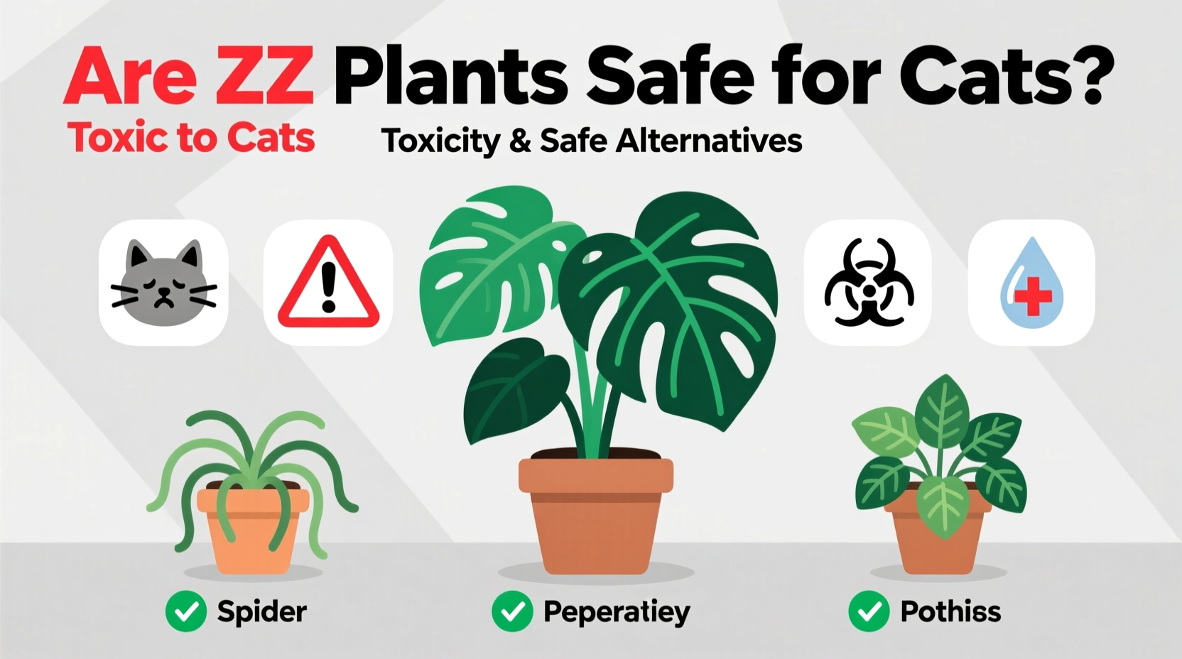 Are ZZ Plants Safe for Cats? Toxicity & Safe Alternatives