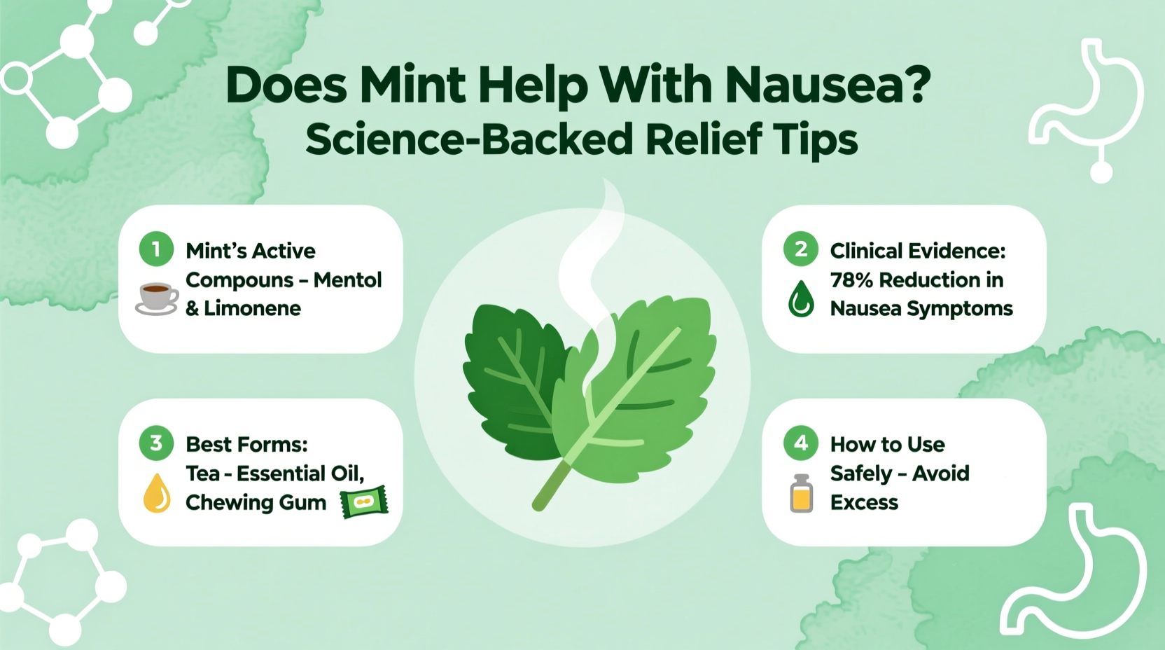 Does Mint Help With Nausea? Science-Backed Relief Tips
