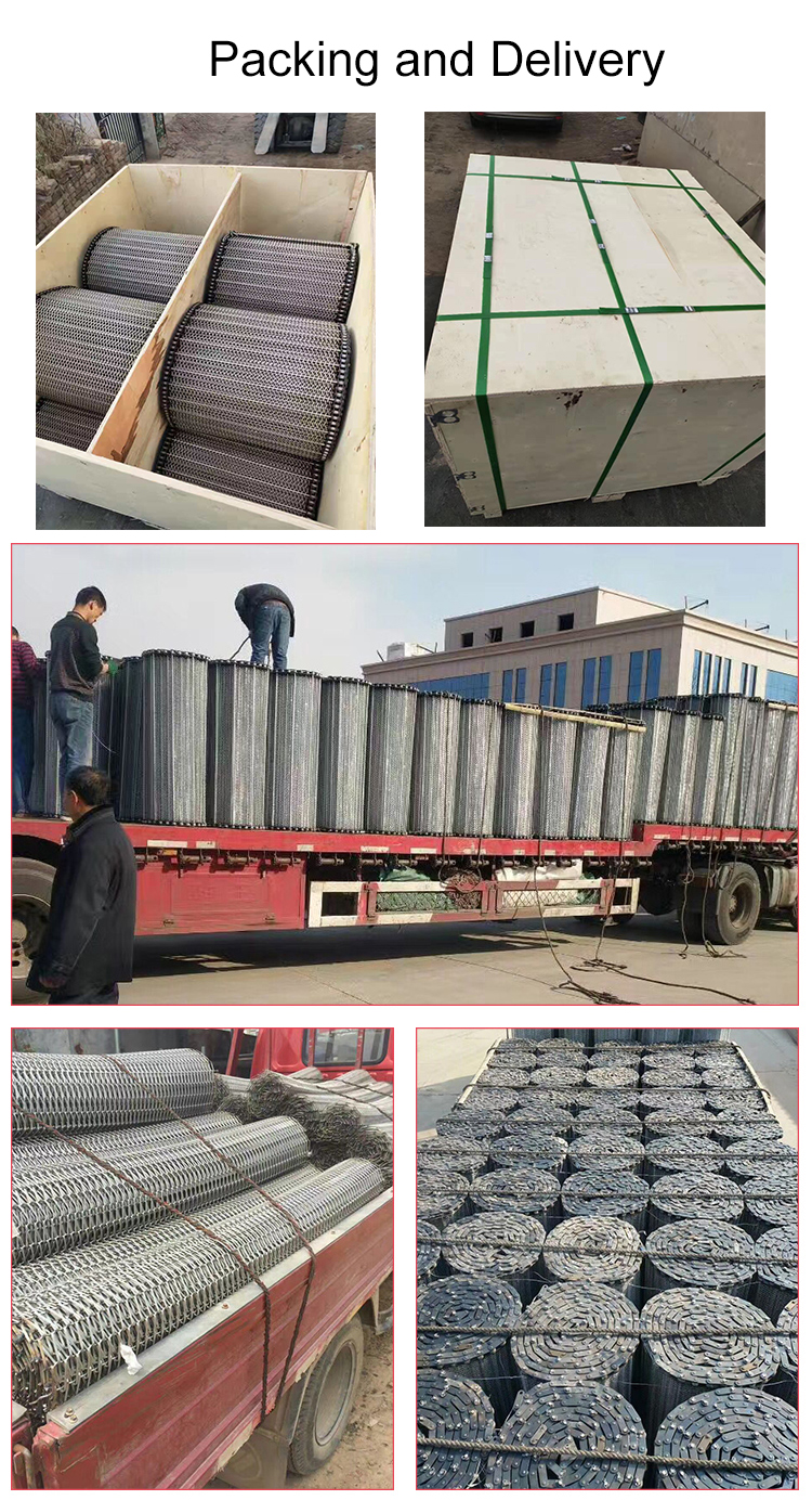 Chain Driven Belt/Stainless Steel Wire Mesh/ Conveyor Belt
