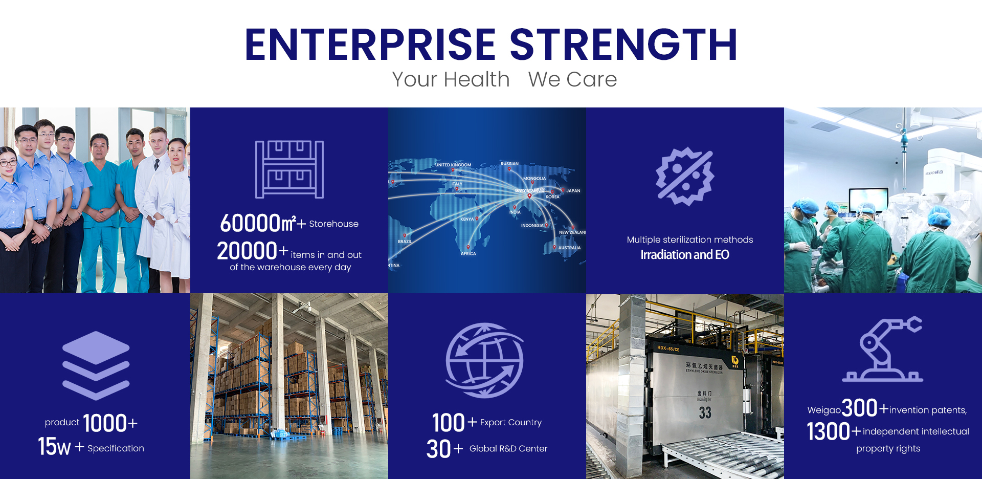 Company Overview - Shandong Weigao Group Medical Polymer Co., Ltd.