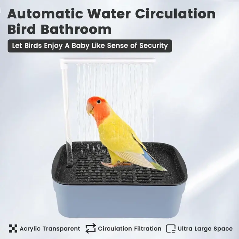 How Many Types of Booby Birds Are There? 6 Species Explained