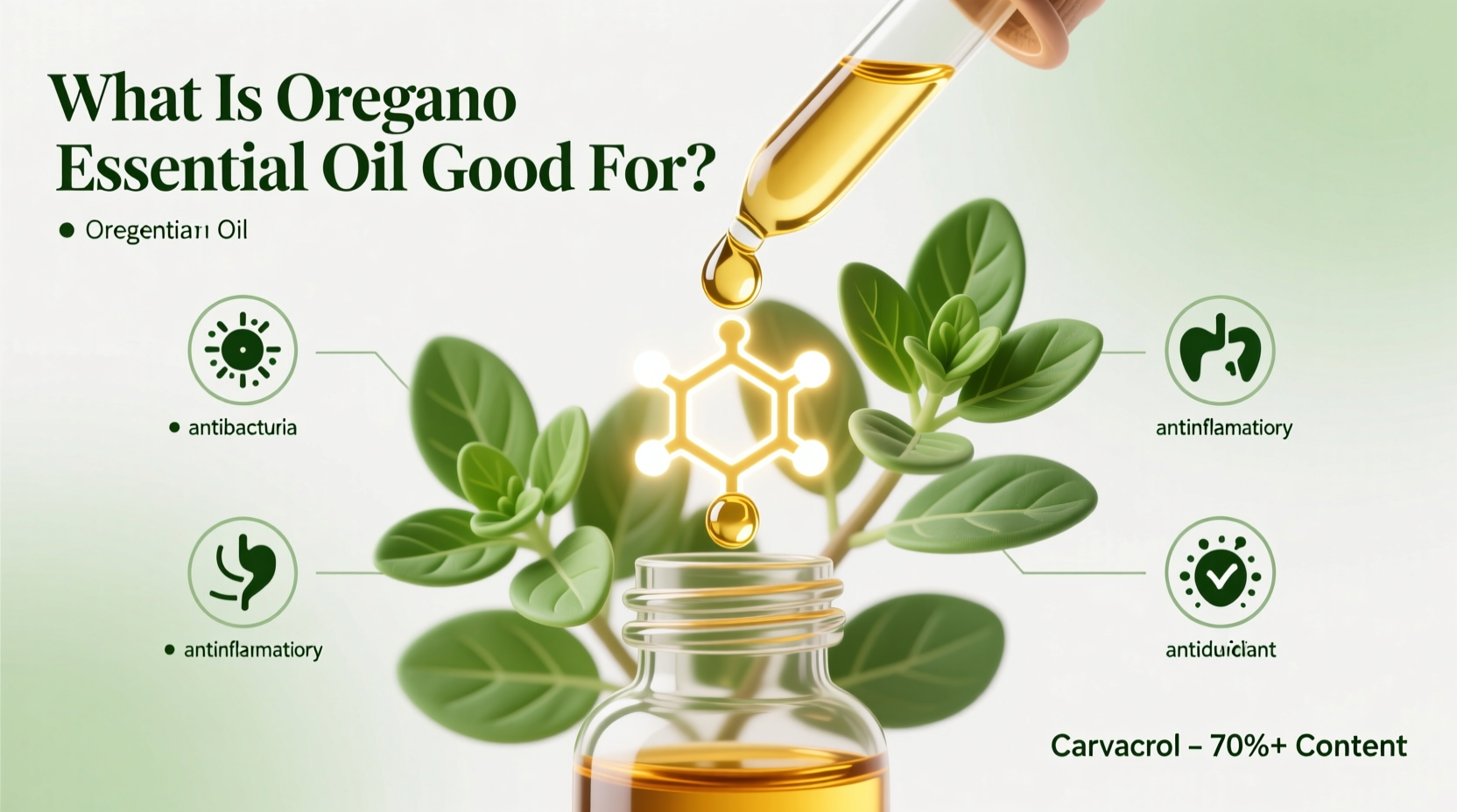 What Is Oregano Essential Oil Good For?