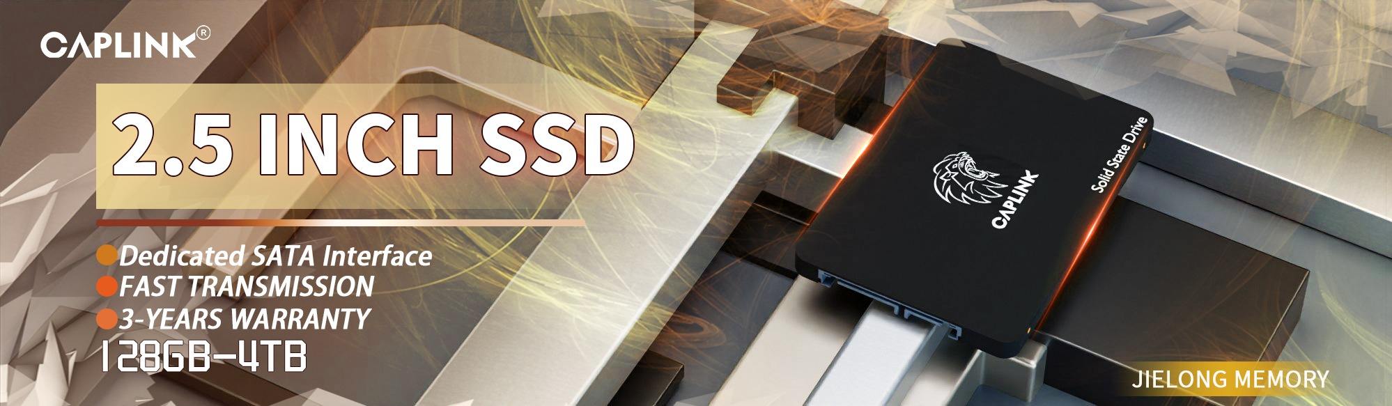 Shenzhen Jielong Storage Technology Co., Ltd. - Solid State Drive, USB ...