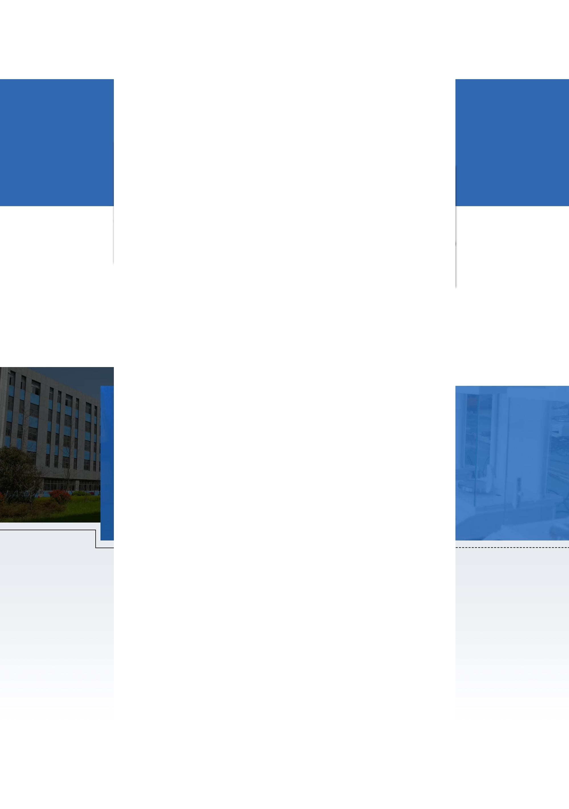 Company Overview - Want Balance Instrument Co., Ltd.