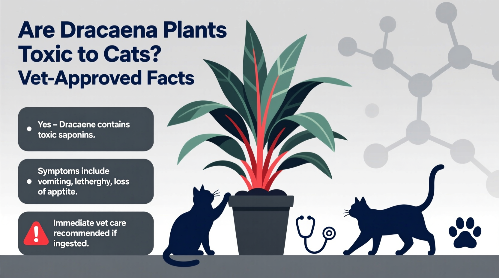 Are Dracaena Plants Toxic to Cats? Vet-Approved Facts