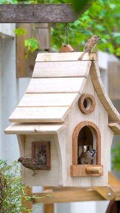 How to Clean a Droll Yankee Bird Feeder Properly