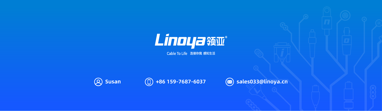 Company Overview - Linoya Electronic Technology Co., Ltd.