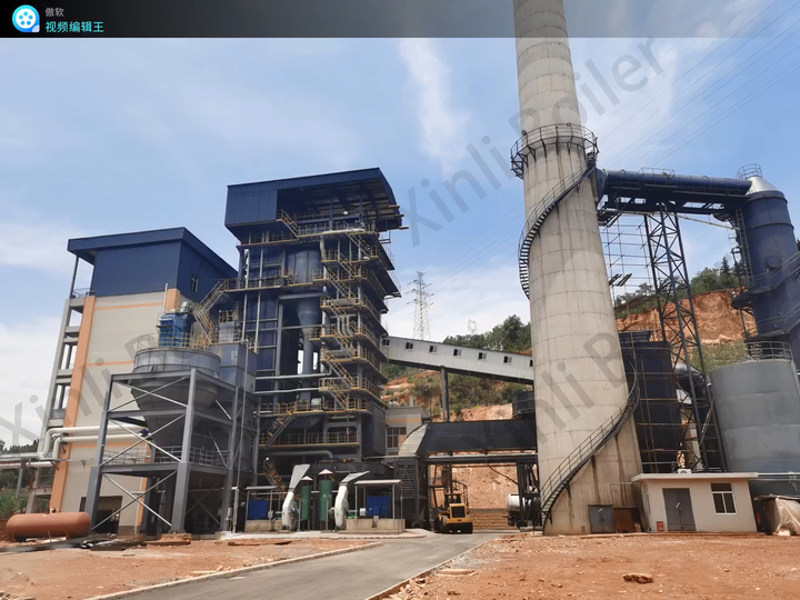 Coal and Biomass Fired CFB Steam Boiler for 10 MW Power Plant