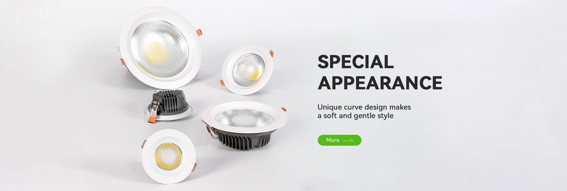 Zhongshan Baron Lighting Co.,Ltd - Down Light, Spot Light