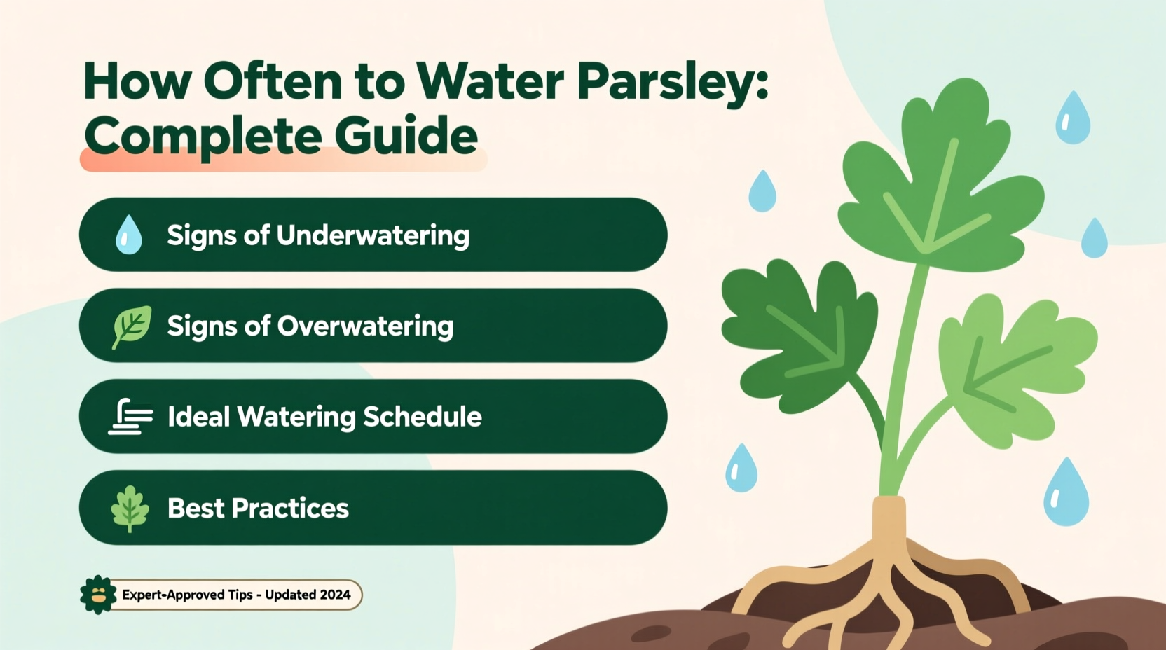 How Often to Water Parsley: Complete Guide