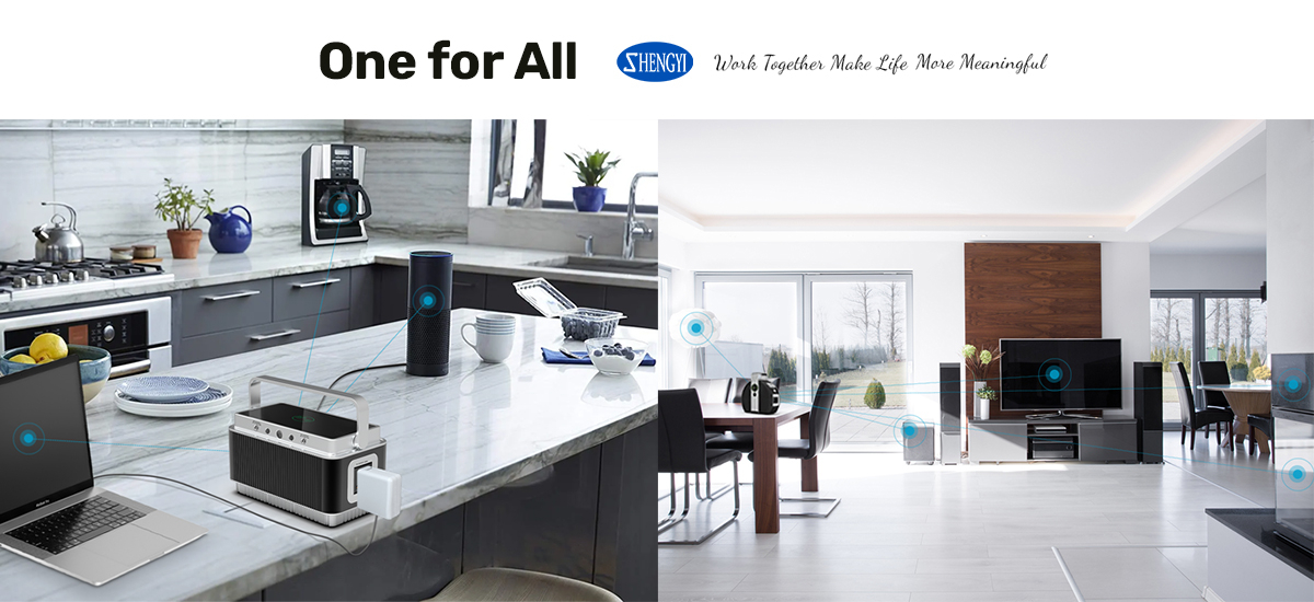 Company Overview - Shenzhen Shengyi Technology Co., Ltd.