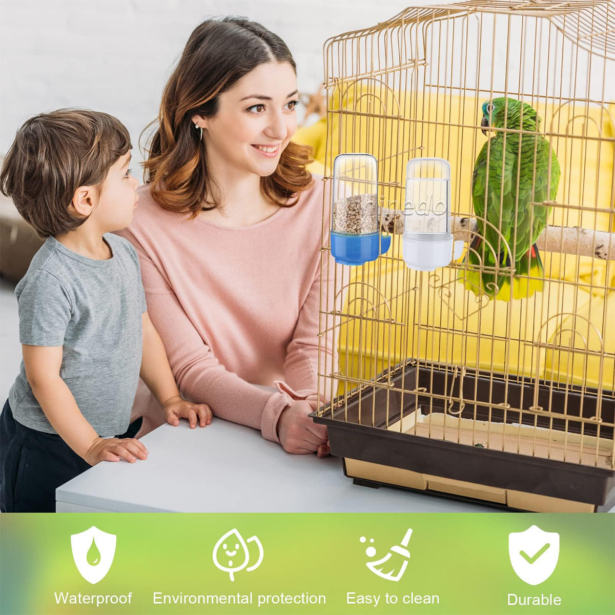 How to Get Your Bird to Trust You: A Step-by-Step Guide