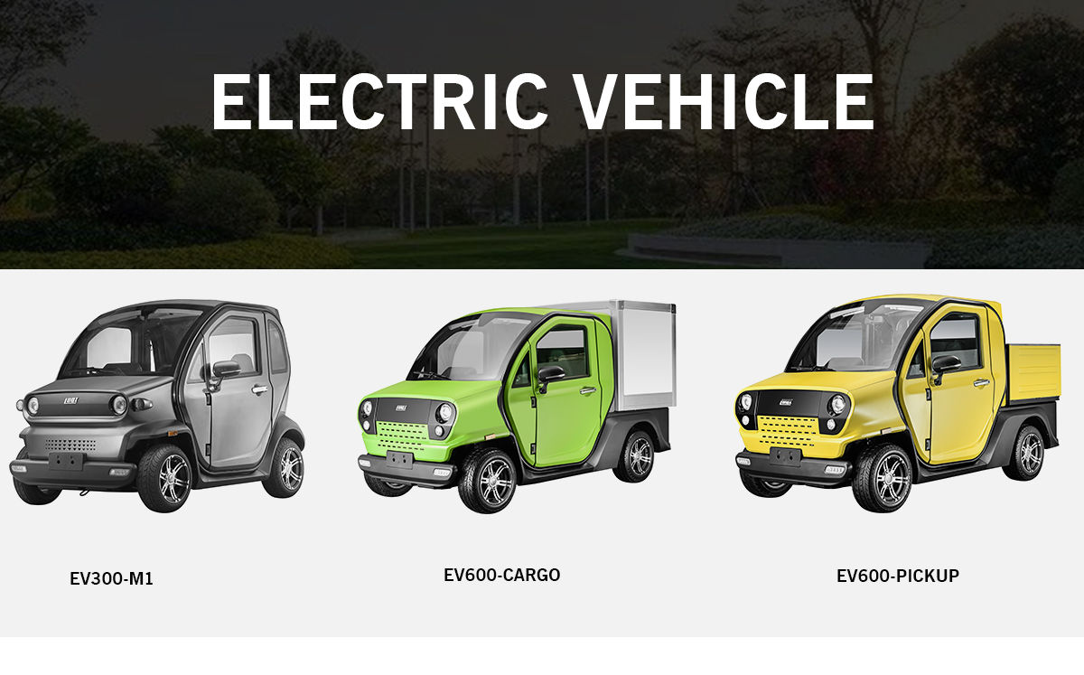 Company Overview - Zhejiang Luqi Intelligent Technology Co., Ltd.