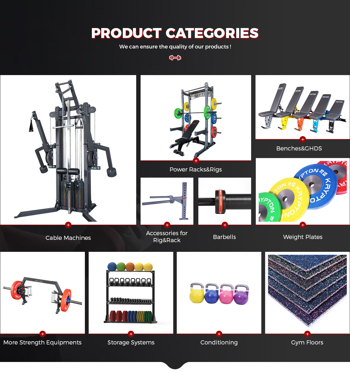 Qingdao Krypton International Trade Co., Ltd. - Power Rack, Cable Machine