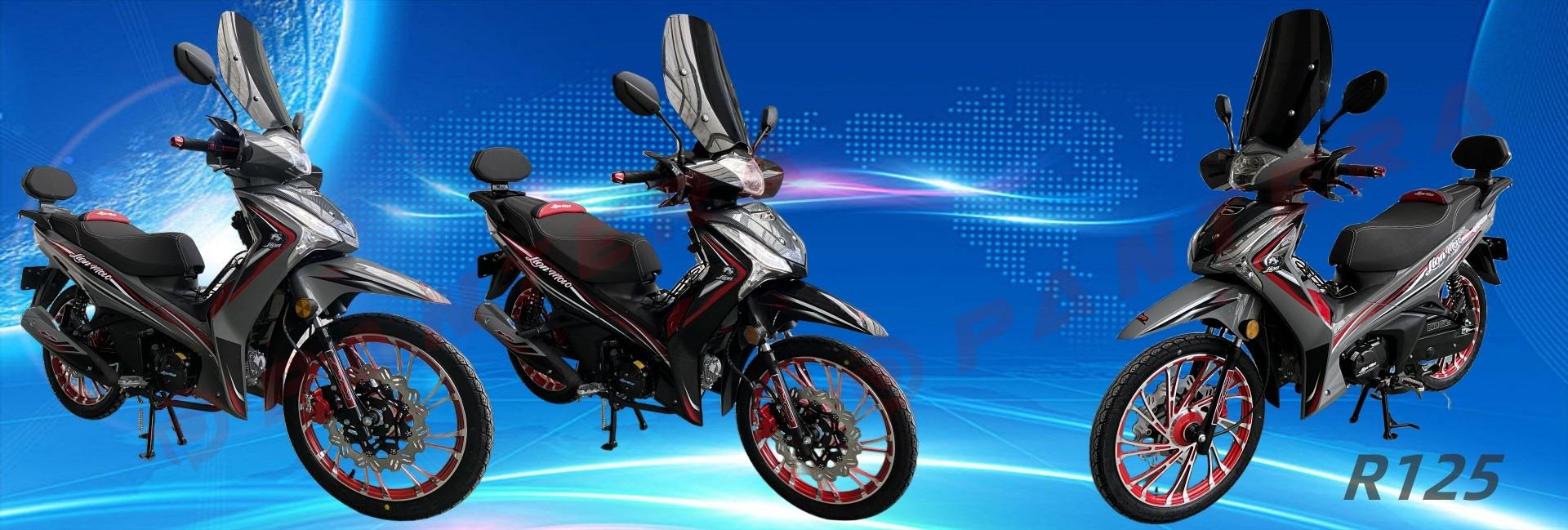 Chongqing Pantera Group - Motorcycle, Motos