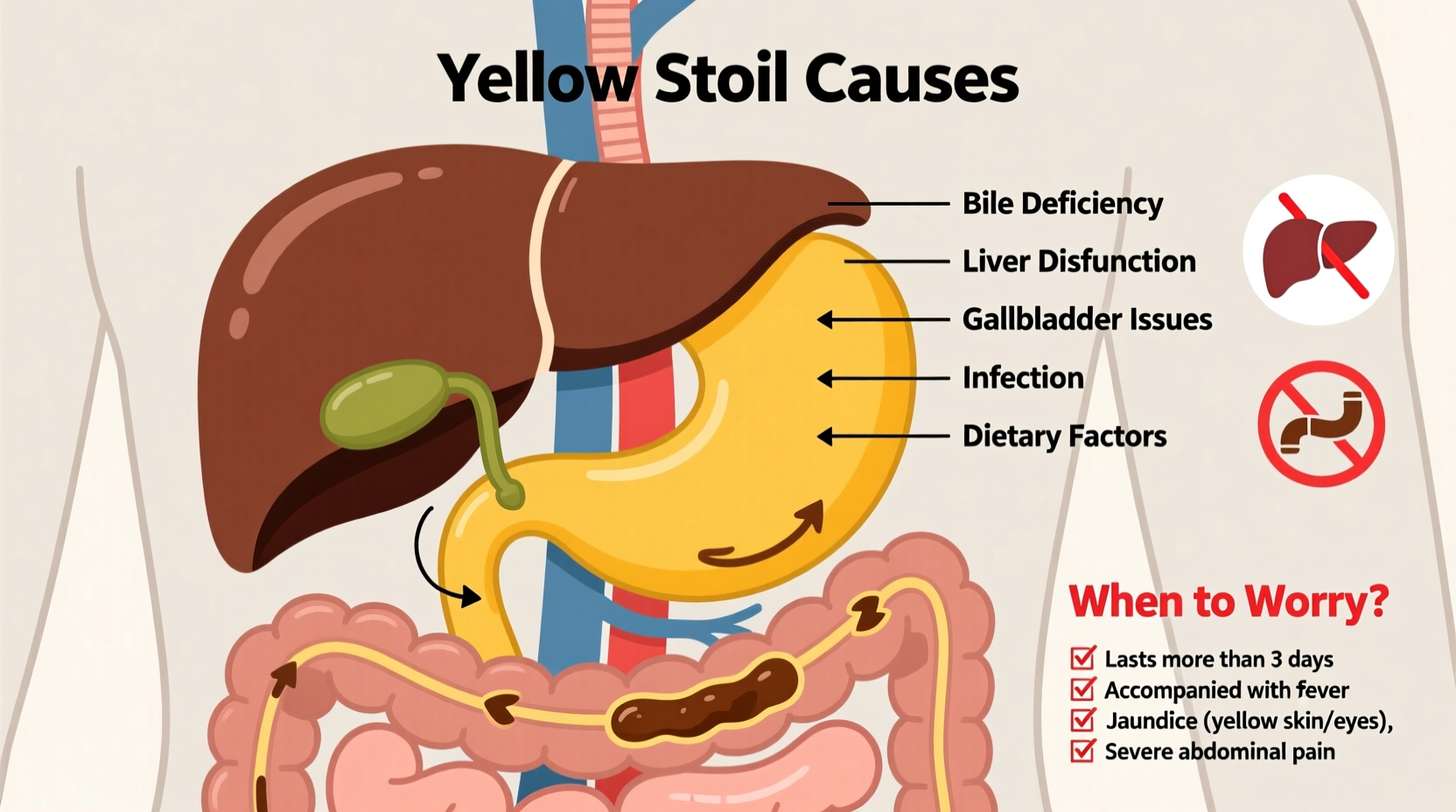 Why Is My Stool Yellow Causes Meaning When To Worry
