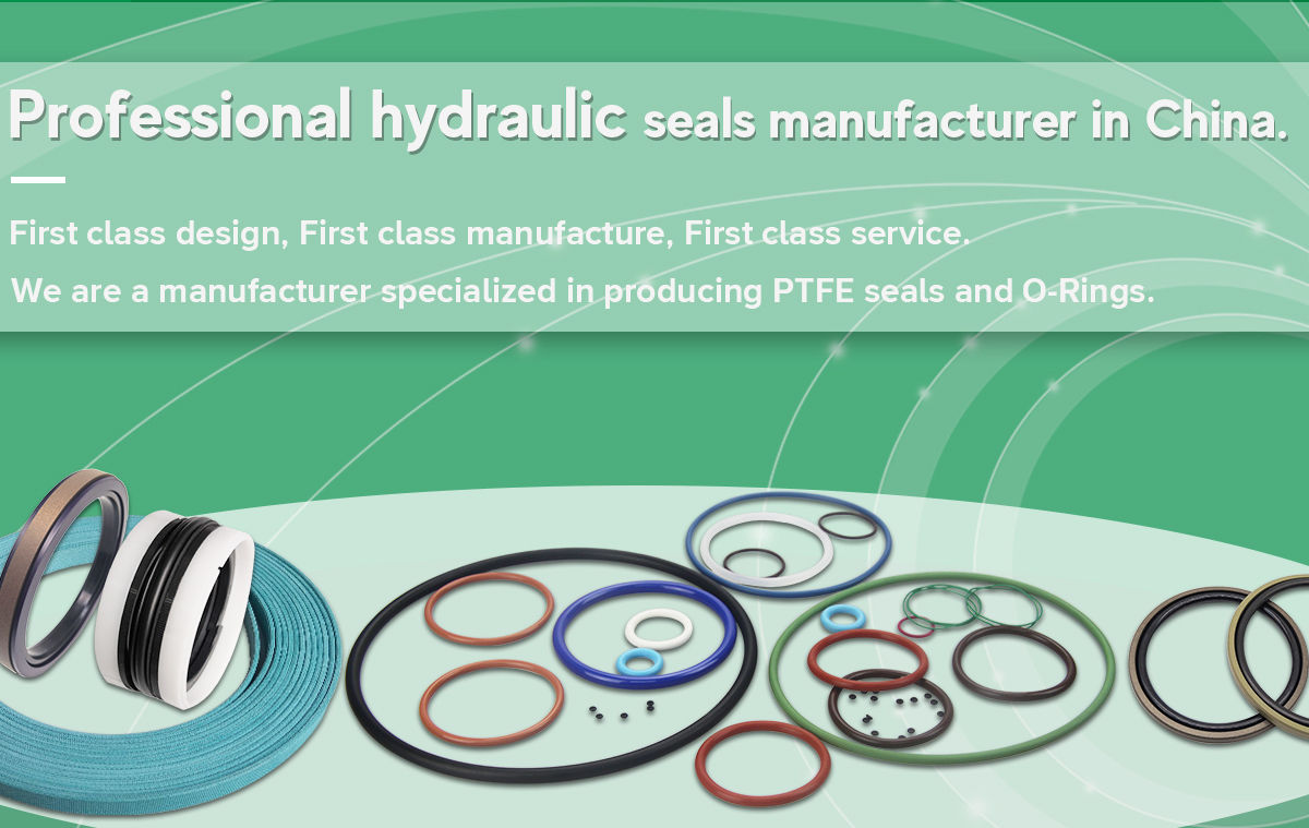 DMS Seals Technology Co., Limited - PTFE Seals, Rod Seals