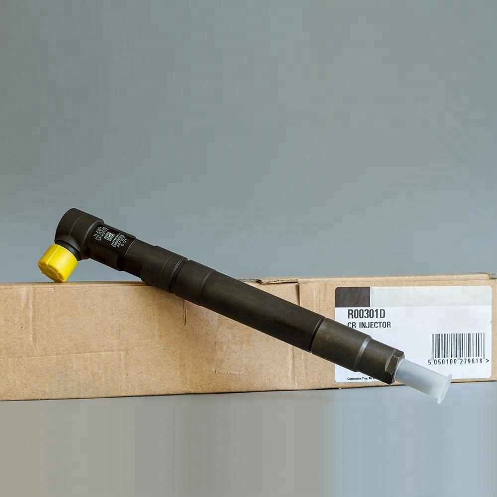 common fuel injectors R00301D EMBR00301D 6710170121 A6710170121 ...