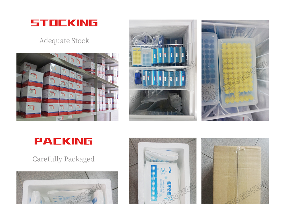 DNA Spin Column C1021 1000PCS