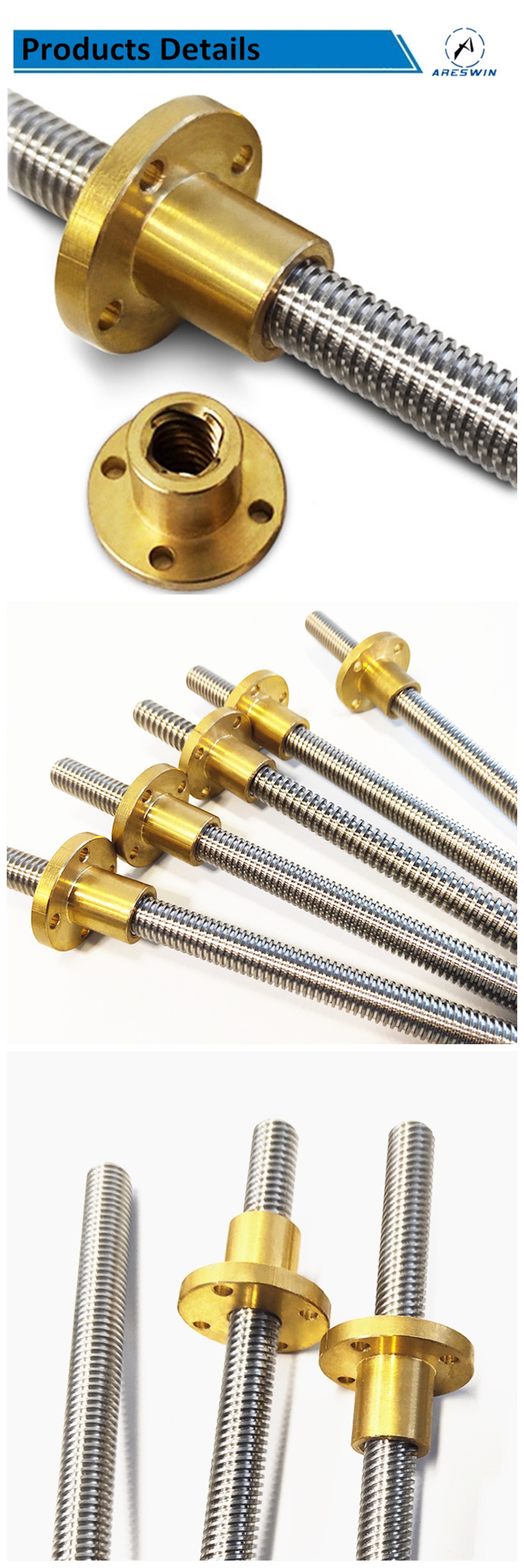 T5 T6 T8 T10 T12 Stainless steel trapezoidal lead screw with brass nut ...