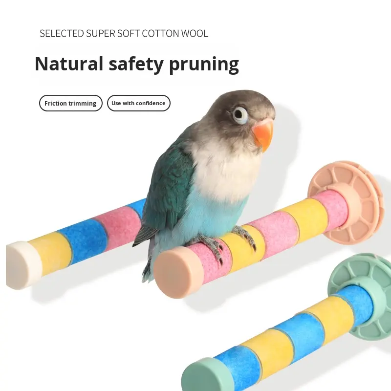 What Makes a Bird 'Bad'? Ecology, Culture, and Myths Explained