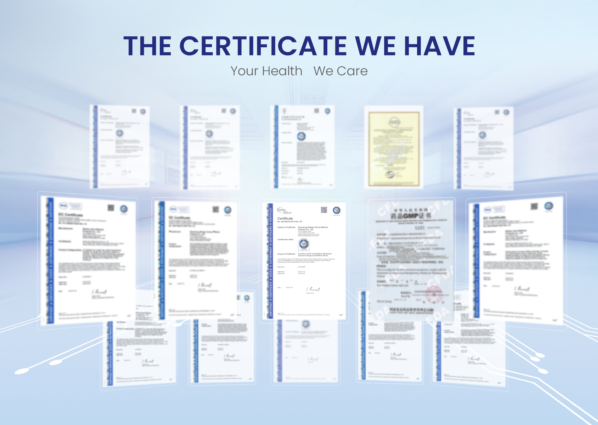 Company Overview - Shandong Weigao Group Medical Polymer Co., Ltd.