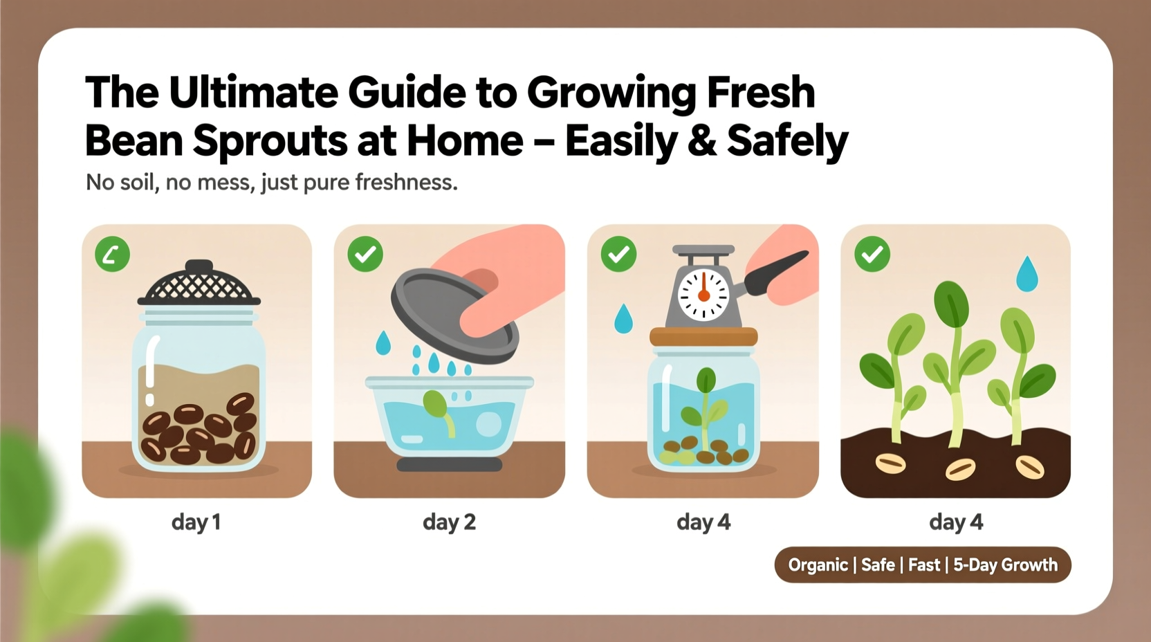 The Ultimate Guide To Growing Fresh Bean Sprouts At Home Easily And Safely