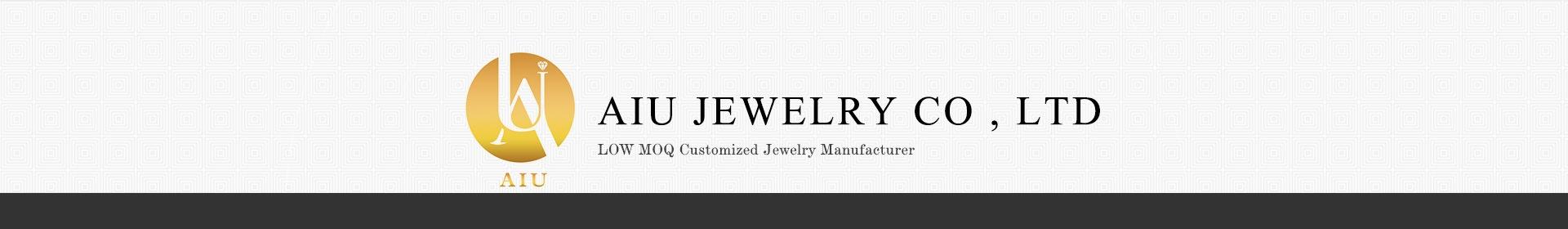 Company Overview - AIU Jewelry inc