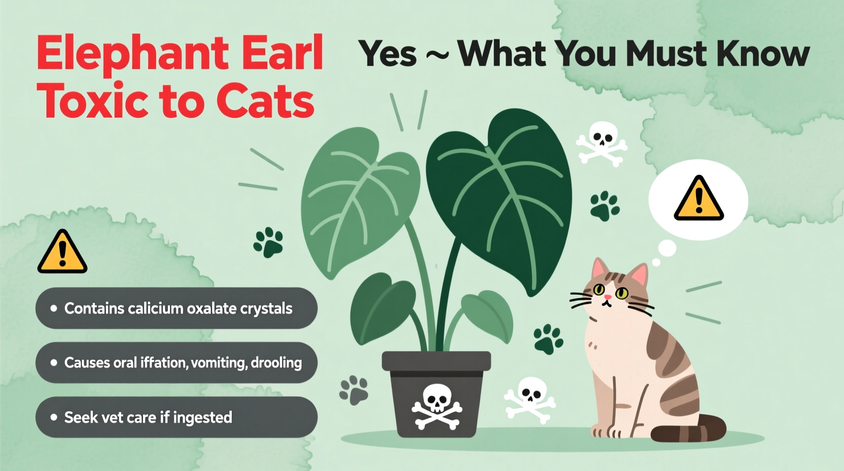Is Elephant Ear Toxic to Cats? Yes – What You Must Know