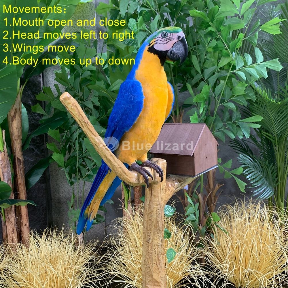 The Blue-Footed Booby: Biology, Behavior, and Symbolism