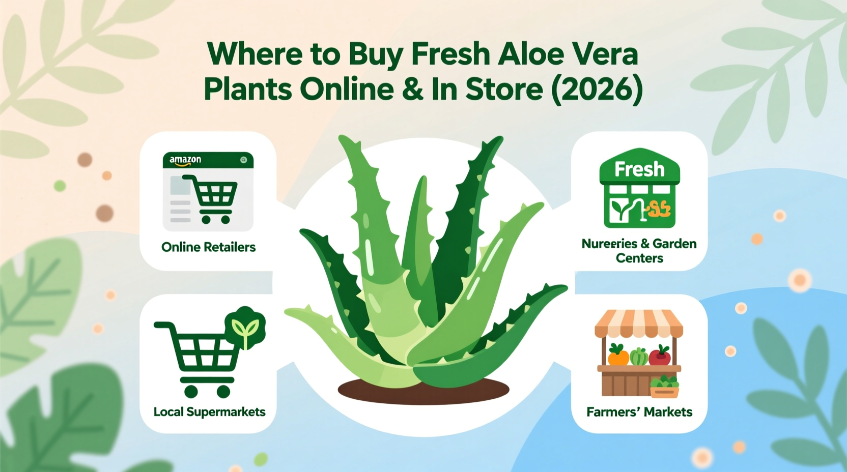 Where to Buy Fresh Aloe Vera Plant Online & In Store (2026)